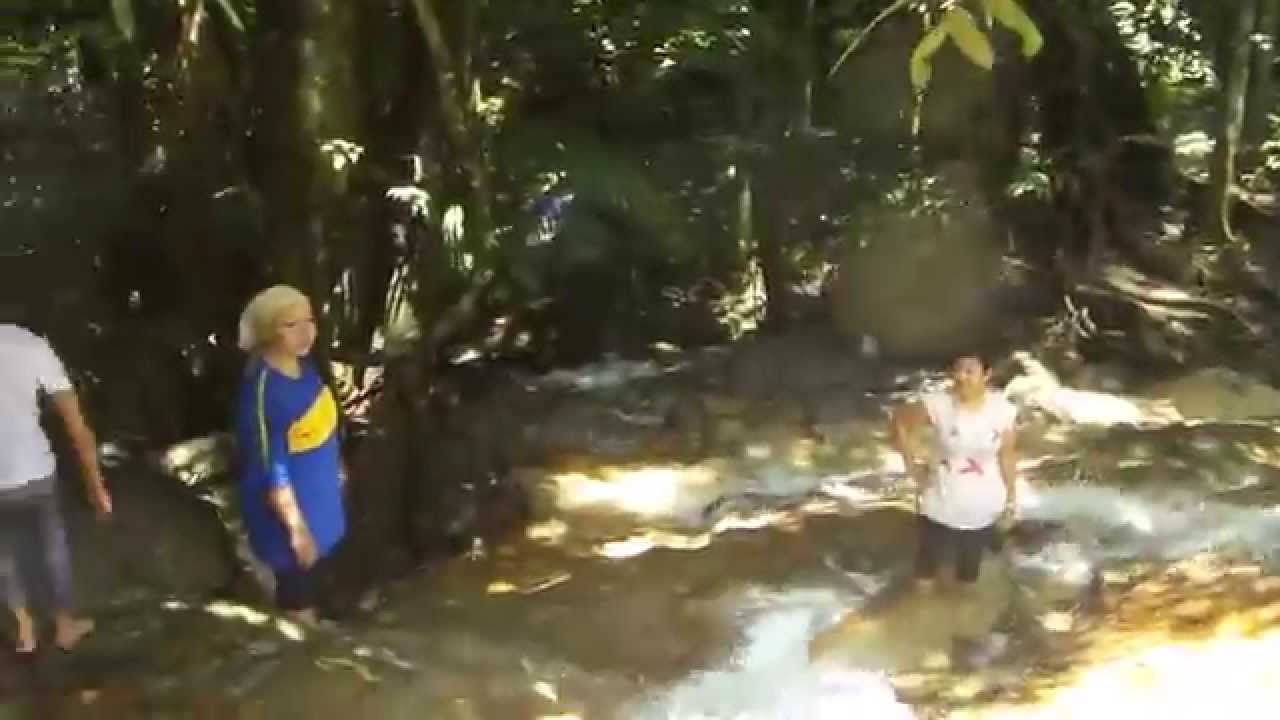 FRIM Kepong Waterfall - YouTube