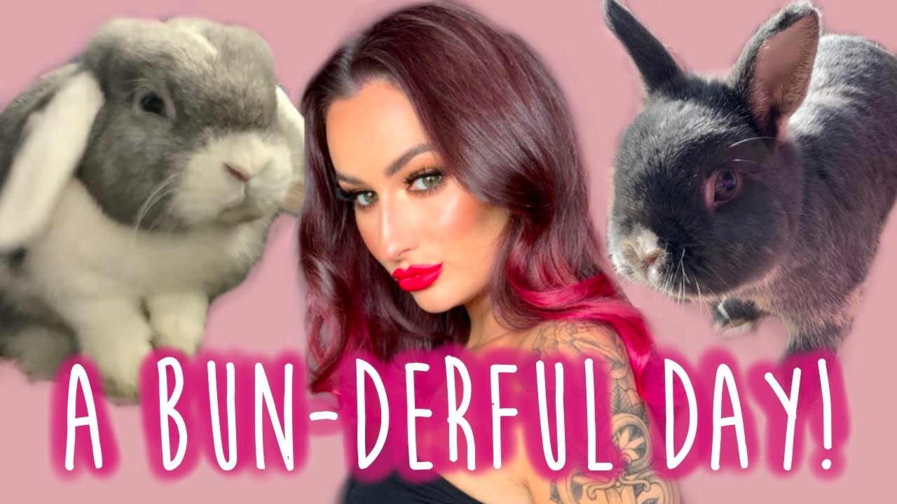 A day in the life of a rabbit rescue volunteer | Spoiler alert: lots of ...