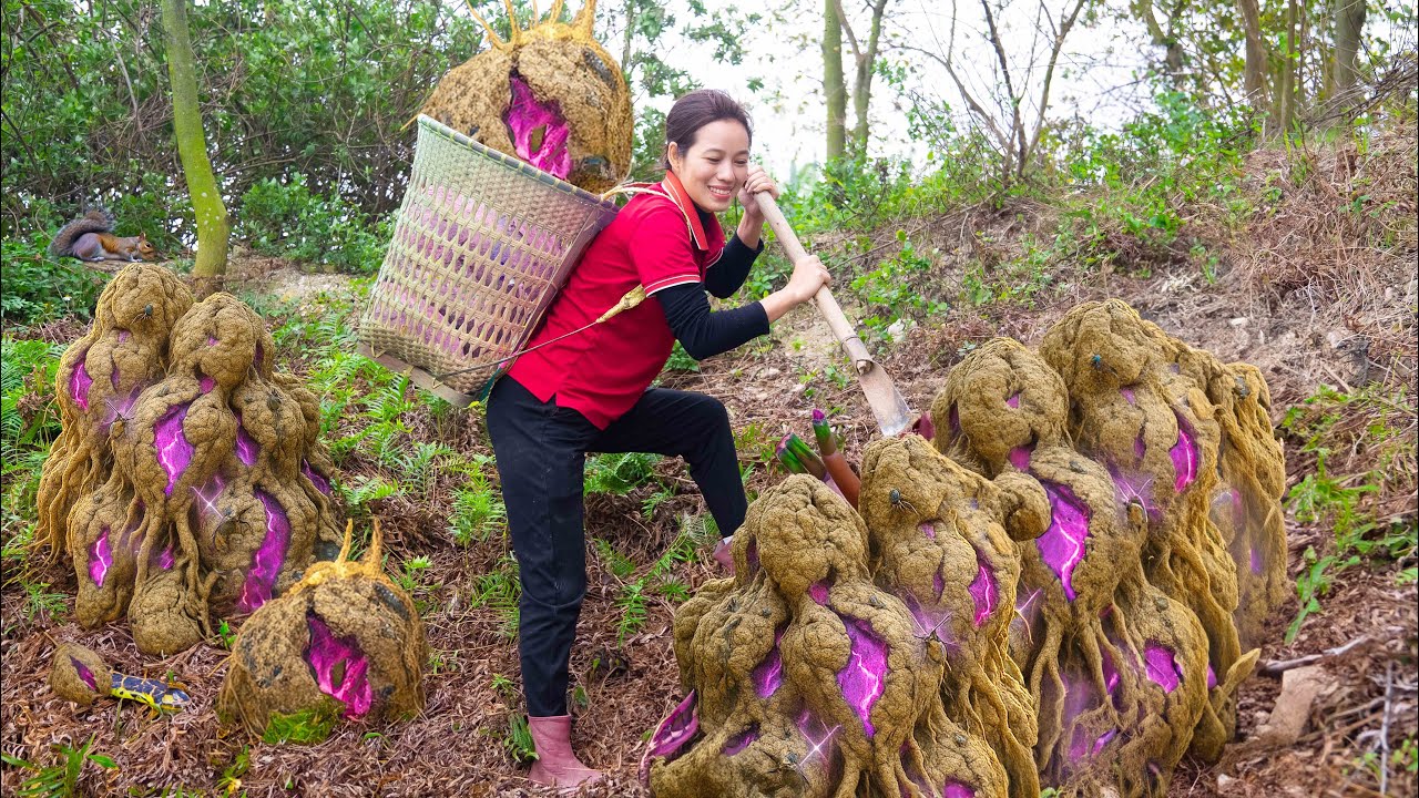Harvesting HUGE Purple Yams from Deep Jungle Soil to market sell| A ...