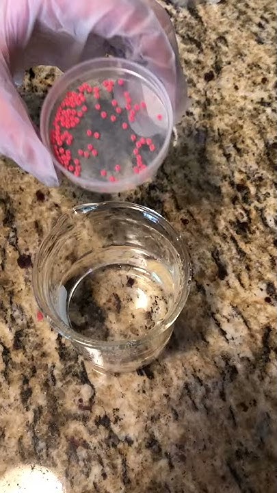 Microplastic Extraction Youtube