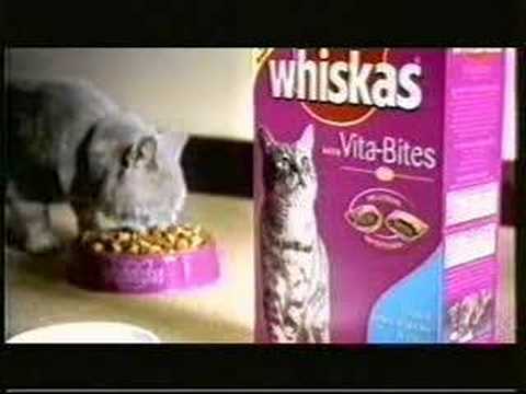 very funny cat ad - YouTube