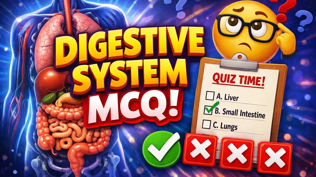 Digestive System MCQ 🔥| Test Your Biology Knowledge - YouTube