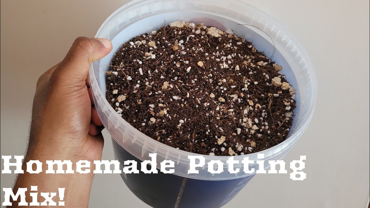 How I Make My Soilless Seed Starting Mix - YouTube