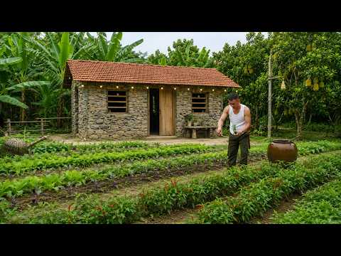 Young Businessman Into the Forest: Builds a Stone House, Grows Vegetables - Lives Off-Grid