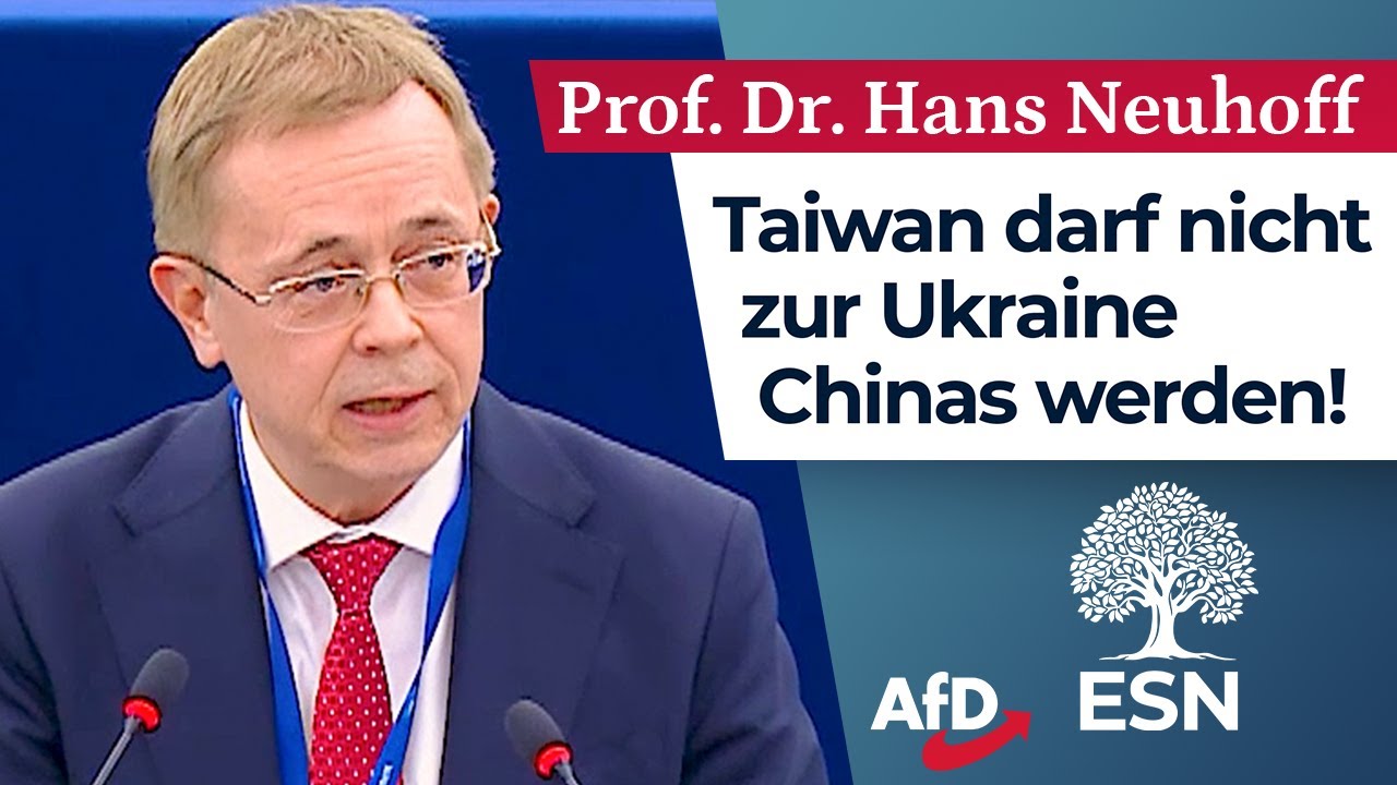 Taiwan darf nicht zur Ukraine Chinas werden! - Prof. Dr. Hans Neuhoff ...