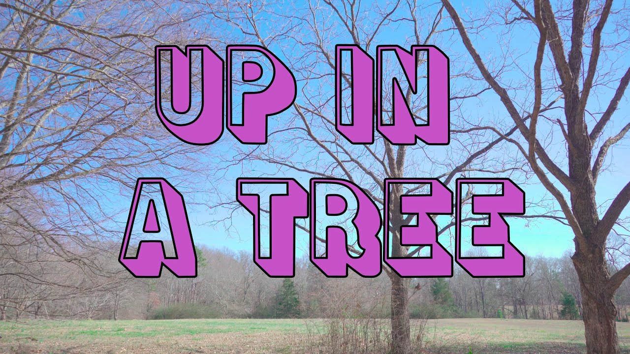 Up In a Tree - YouTube