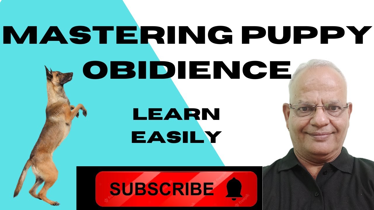 Mastering Puppy Obedience: Training Your Puppy To Follow Your Commands ...