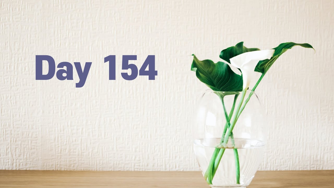 매일 유튜브로 엄마표 영어 2년차 Day 154│하트건 엄마표 영어│Heartgun English Level 2_Day 154 ...