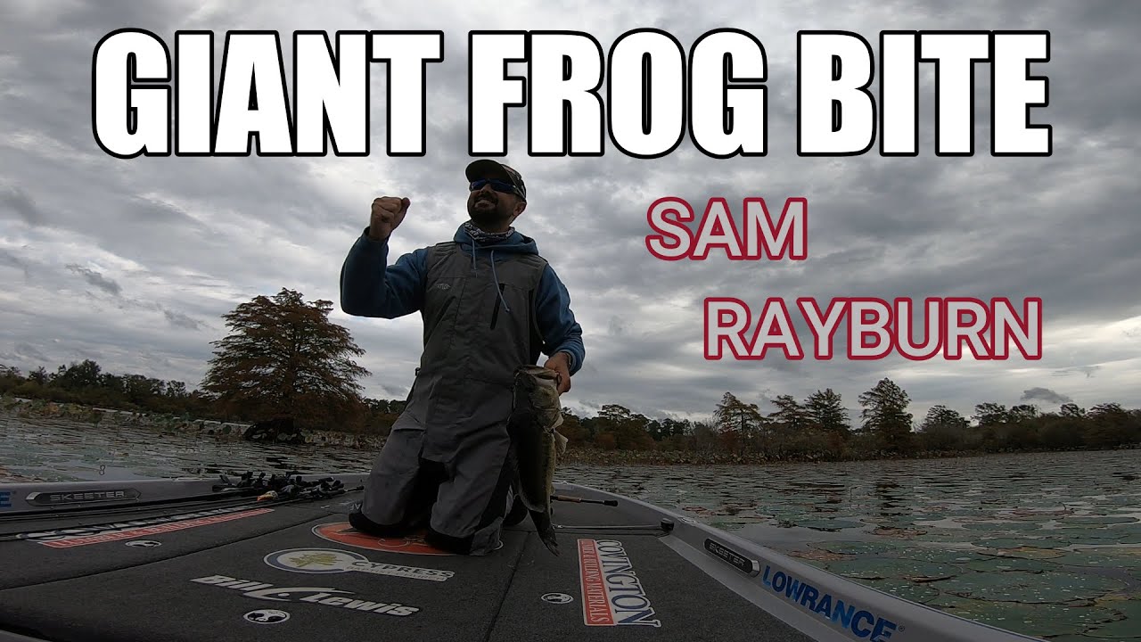Giant Frog Bite on Sam Rayburn - YouTube