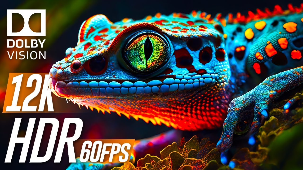 AMAZING ANIMALS 12K HDR 60FPS | DOLBY VISION™ (NATURE SOUNDS) - YouTube