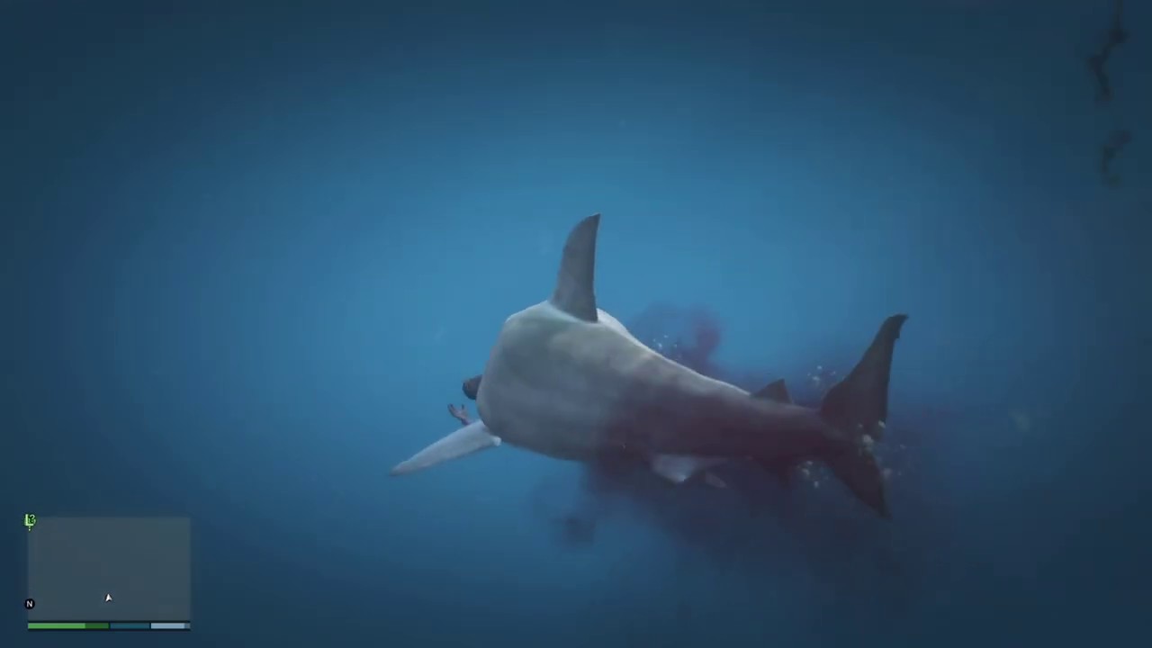 GTA 5(!!Shark Attack!!) - YouTube