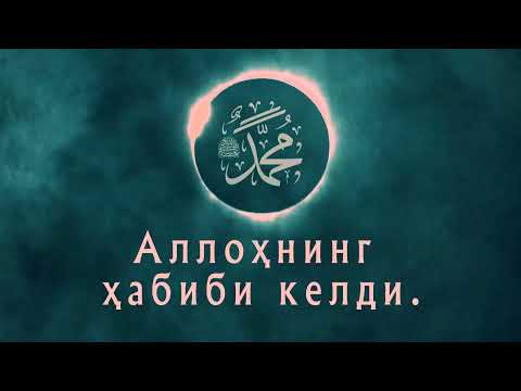 Go'zal nashida - Allohning habibi keldi || Munshidaat guruhi