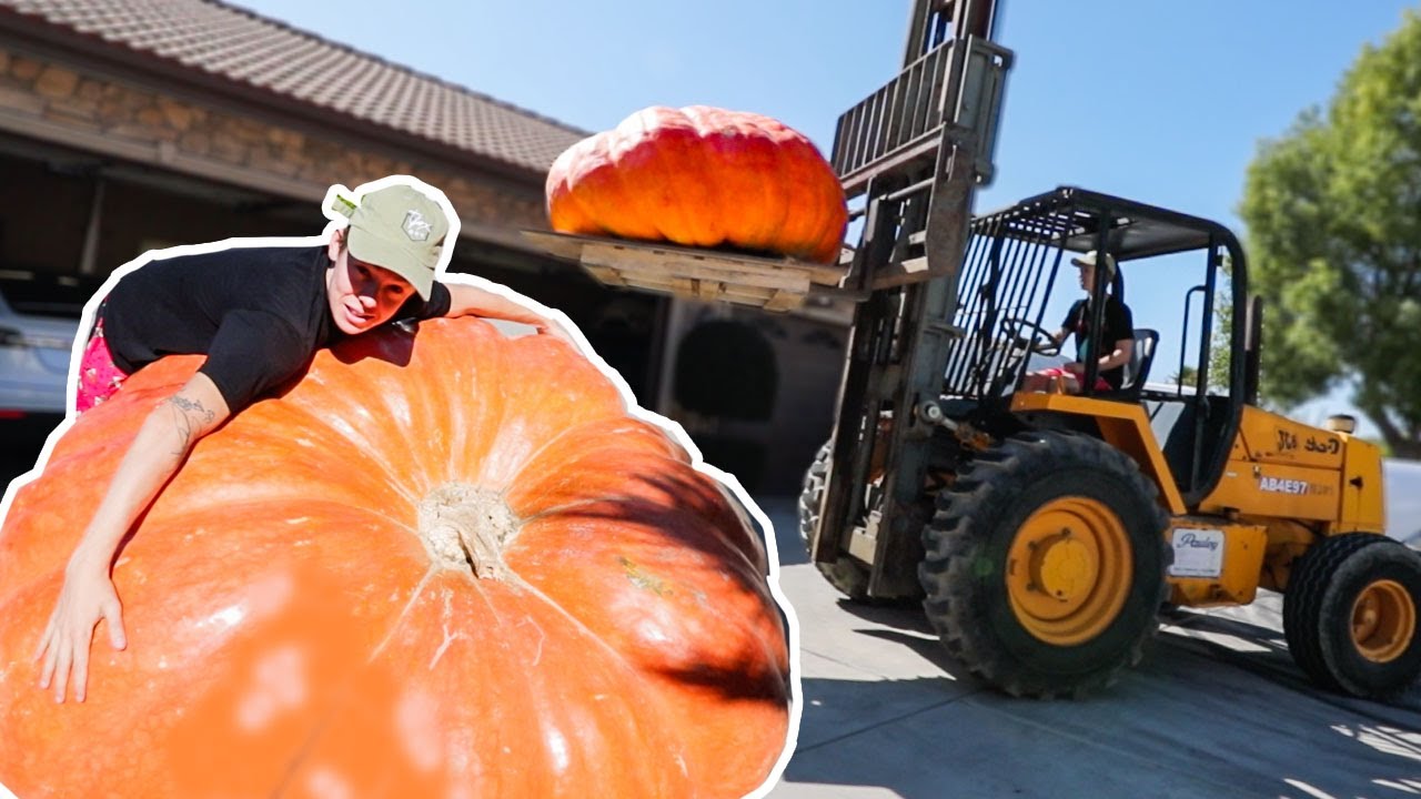 BUYING THE BIGGEST PUMPKIN IN CALIFORNIA! **2000 POUNDS** - YouTube