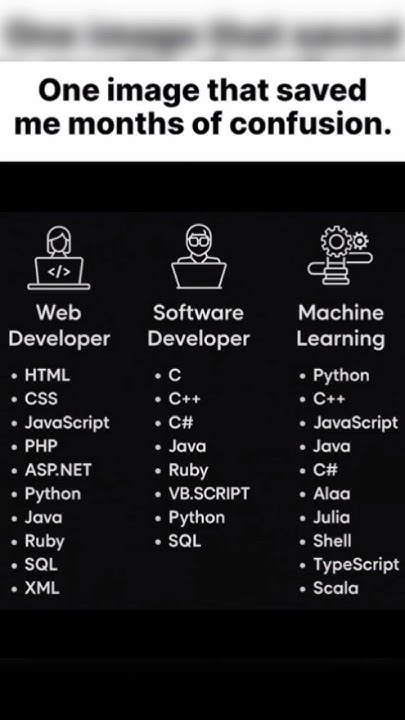 Web Dev vs Software Dev vs Machine Learning | Best Programming Languages to Learn in 2025 - YouTube