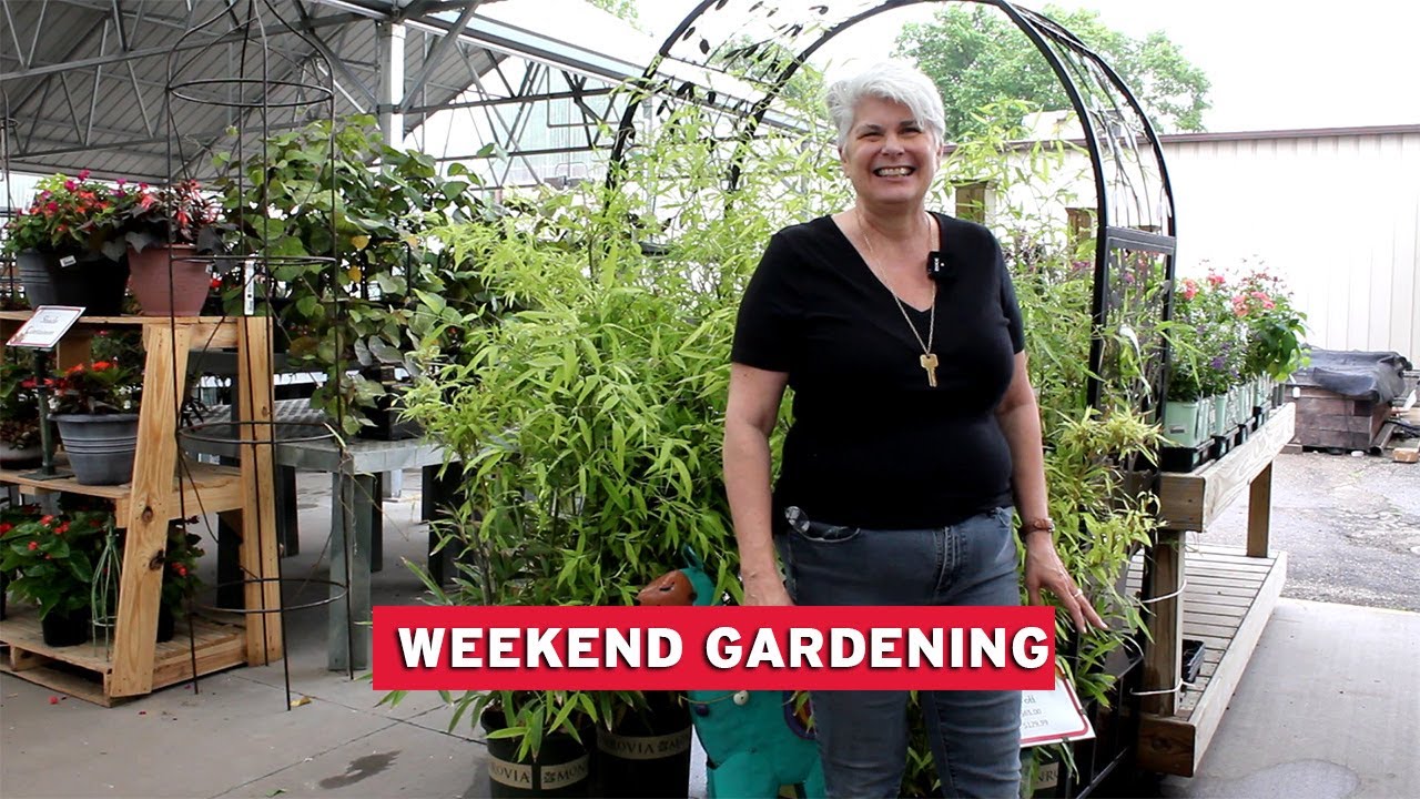 WEEKEND GARDENING 0709 - YouTube