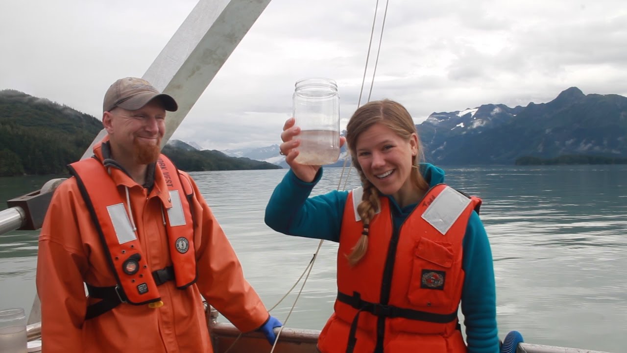 How do scientists study plankton and why should we care?- PWSSC Science ...