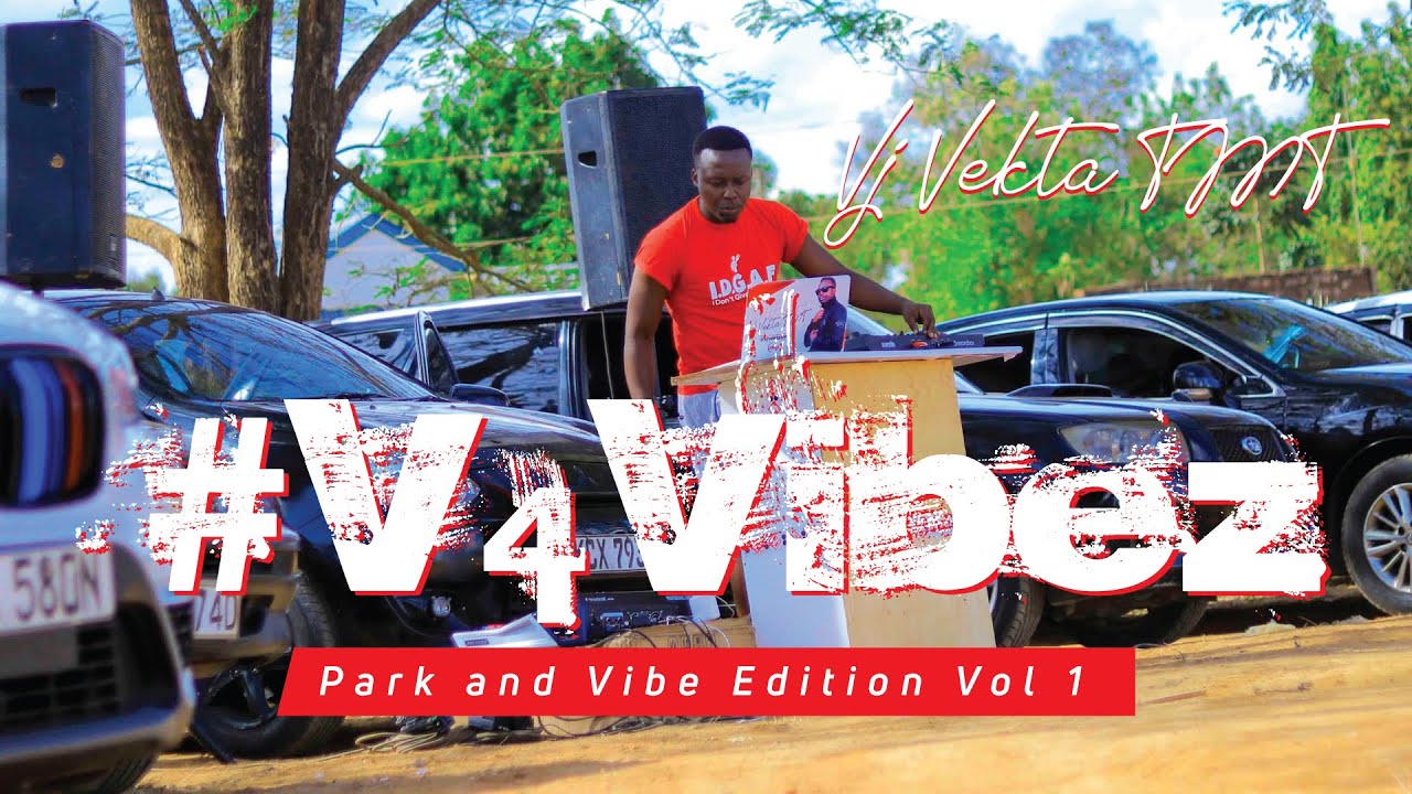 #V4Vibez - Park n Vibe (Vj Vekta TMT) - Pilot - YouTube