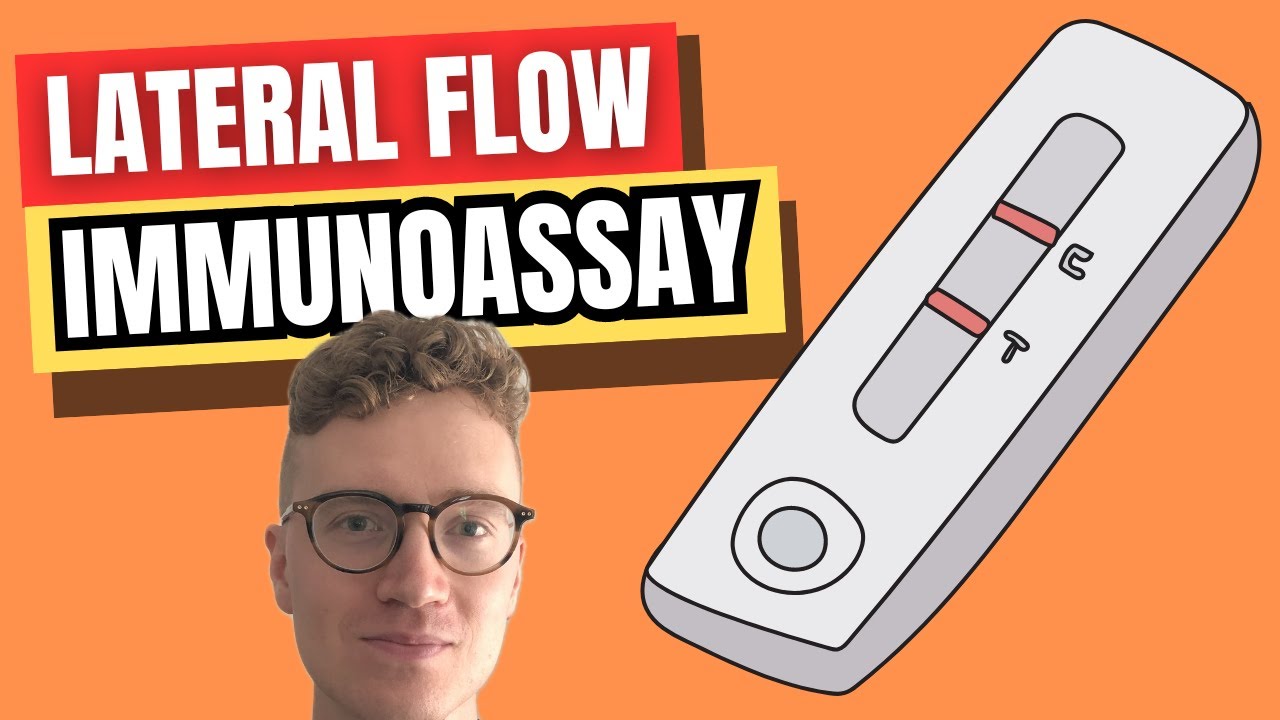 Lateral Flow Immunoassay (LFIA EXPLAINED) - YouTube