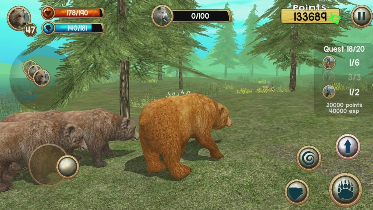 Wild Bear Simulator 3D Android Gameplay #8 - YouTube