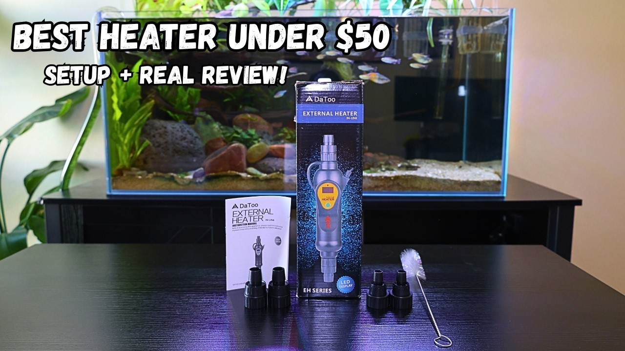 DaToo 300W In-Line Heater Review – The BEST Budget Aquarium Heater ...
