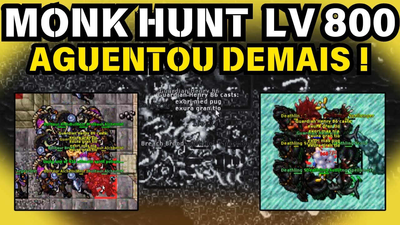 Tibia - MONK HUNT SOLO BULLTAUROS e OUTROS NO LEVEL 800 E 400 🔥 TÁ ...