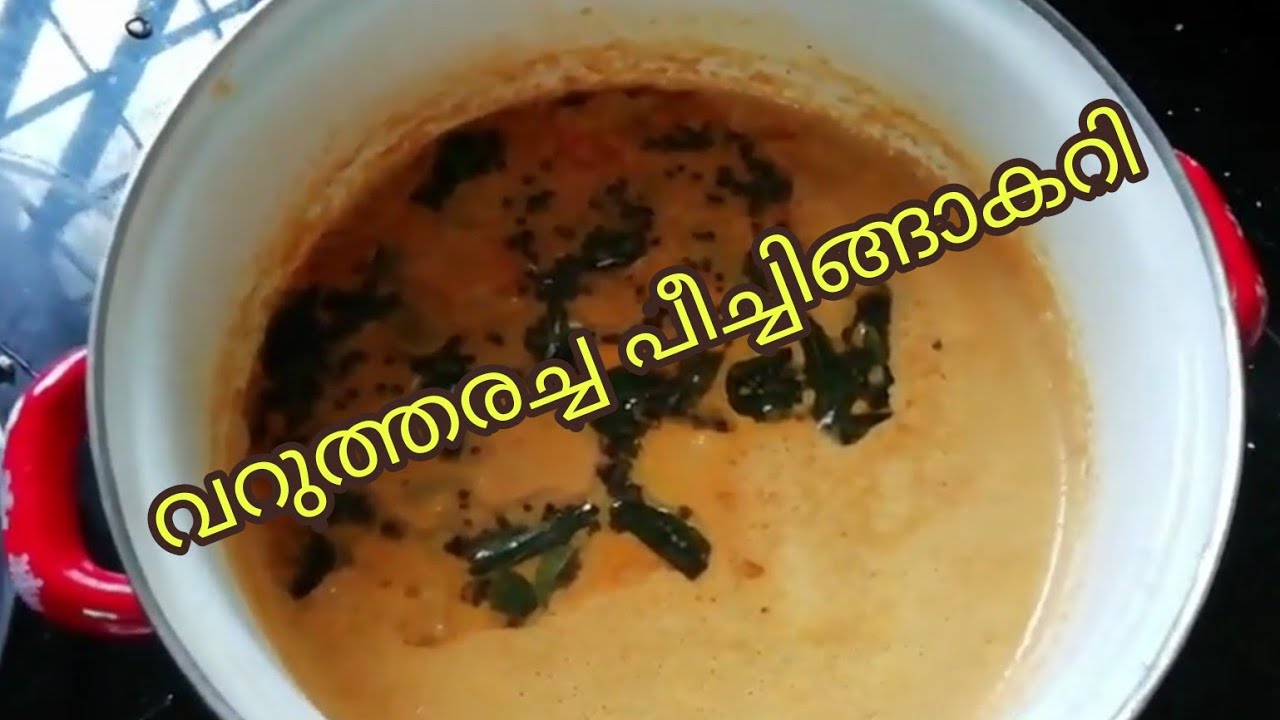 Ridgeguard curry|| peechinga curry||പീച്ചിങ്ങ വറുത്തരച്ച കറി - YouTube