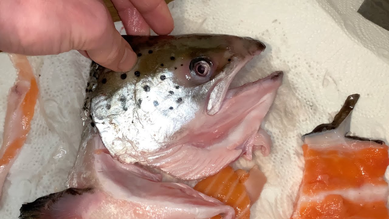 A fish head cut in half - YouTube
