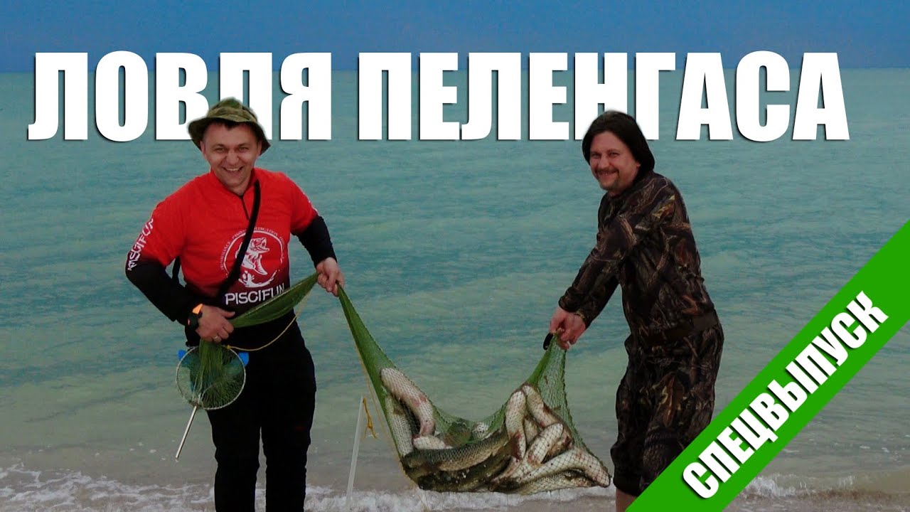 Ловля Пеленгаса - YouTube