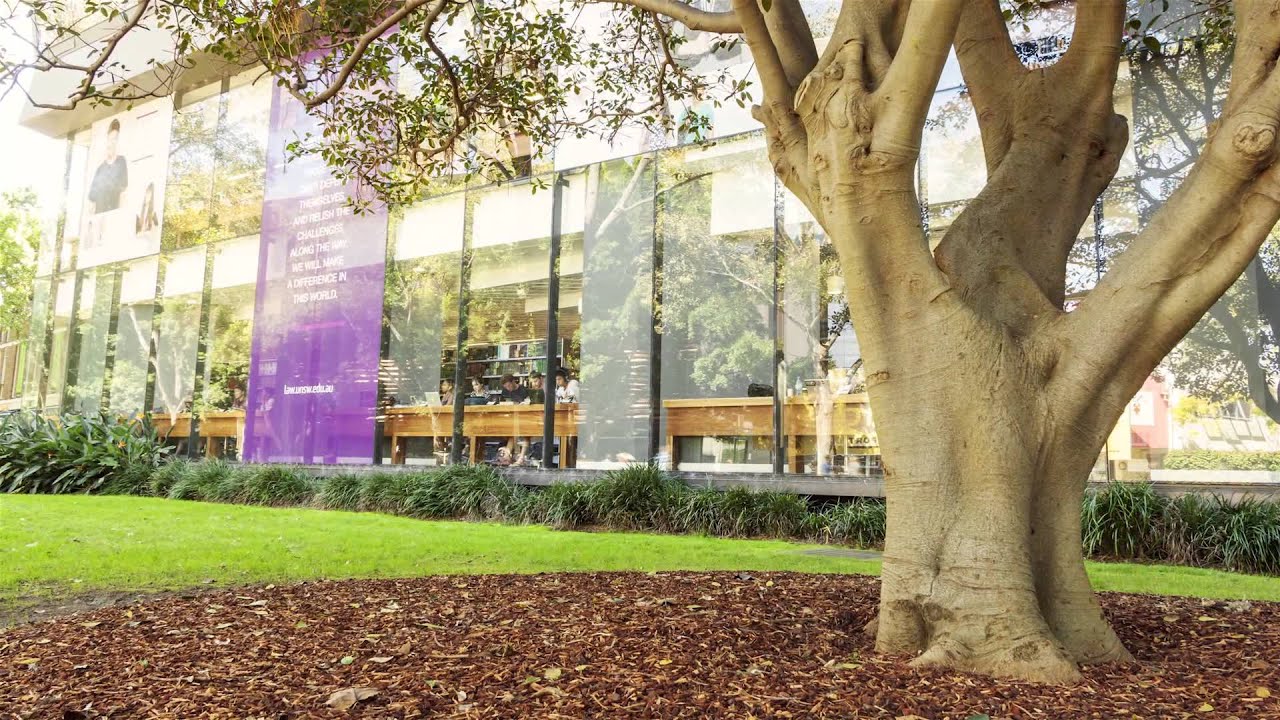 Welcome to UNSW Law - YouTube