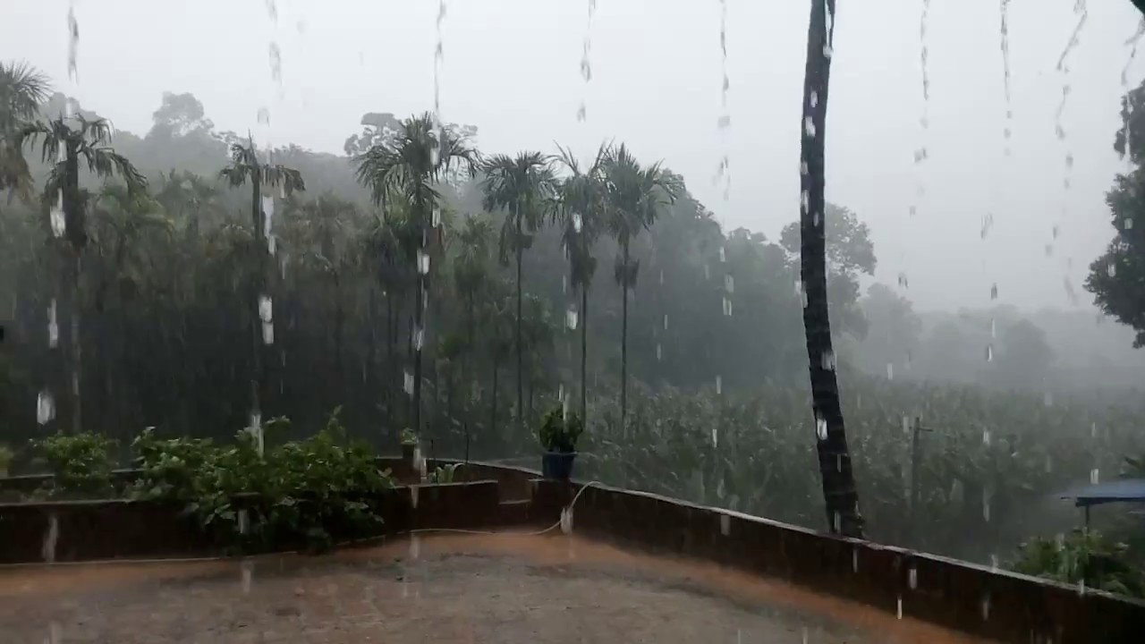Raining at Wayanad - YouTube