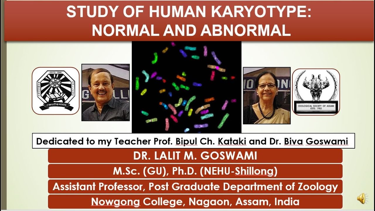 Study of Human Karyotype: Normal and Abnormal - YouTube