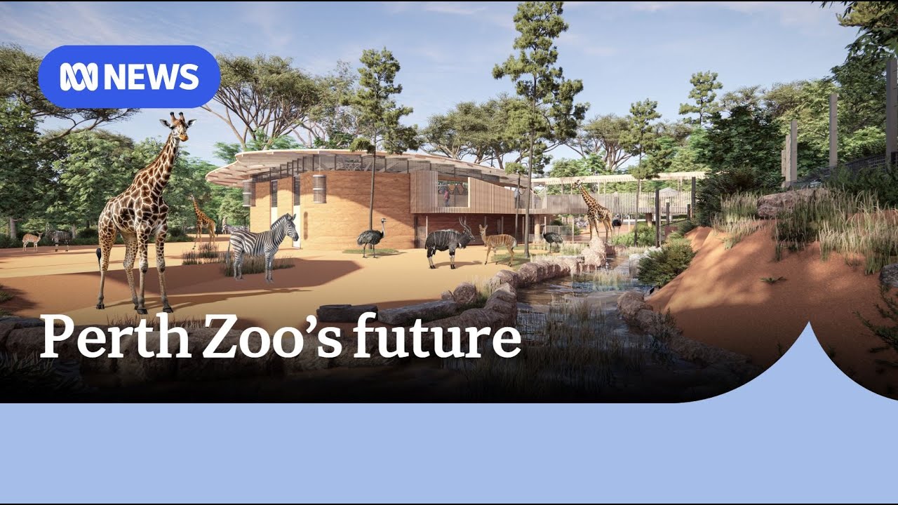 Once the elephants are gone, what's next for Perth Zoo? | ABC News ...