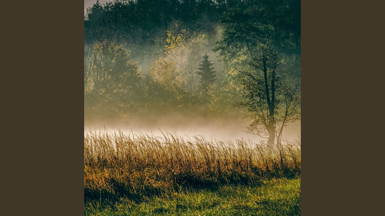 Charlie Hopkins - YouTube