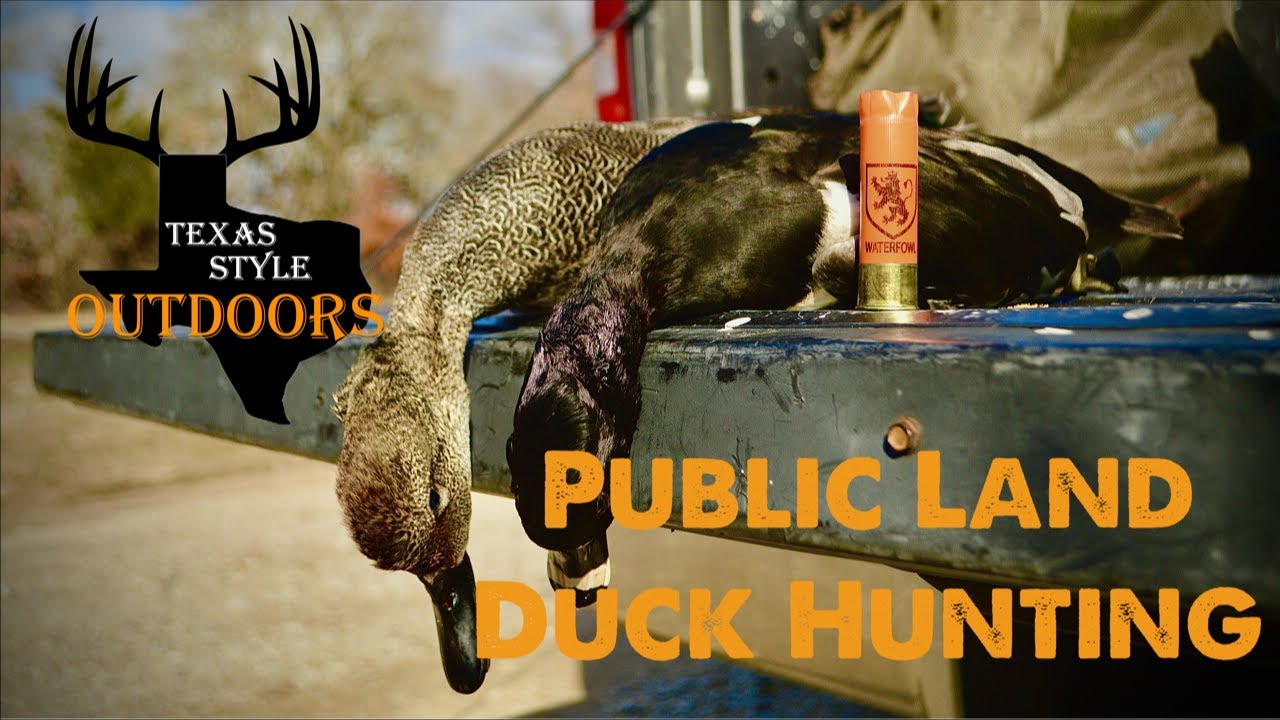 Texas Public Land Duck Hunting -- LBJ Grasslands Chronicles - YouTube