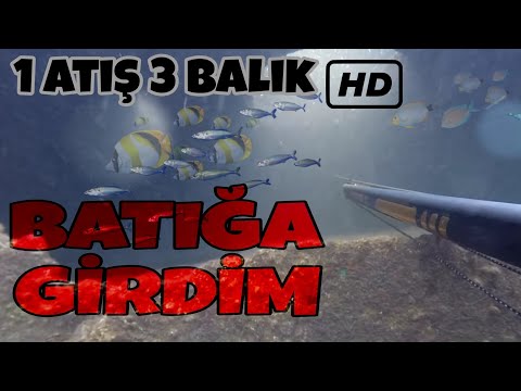 1 ATIŞ 3 BALIK - KEŞİF - TAŞ ALTI - GEMİ BATIĞINA DALDIM (FHD)