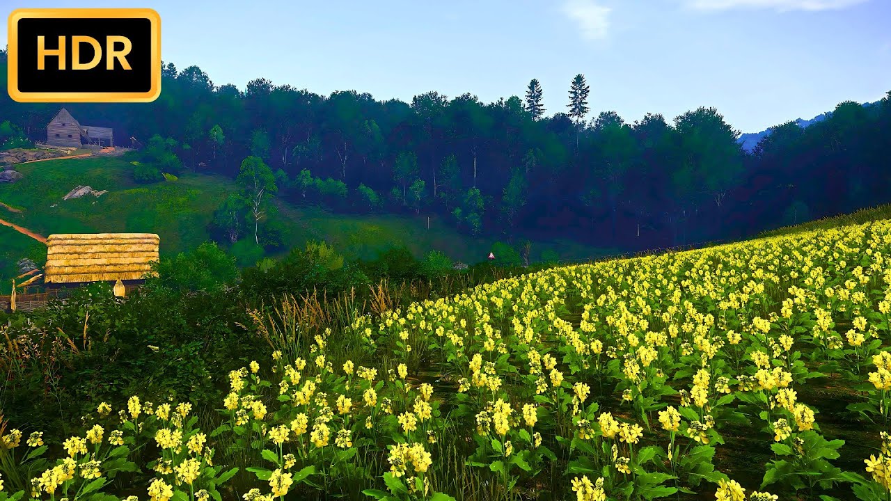 Kingdom Come Deliverance in 4K HDR using Nvidia RTX AI - YouTube