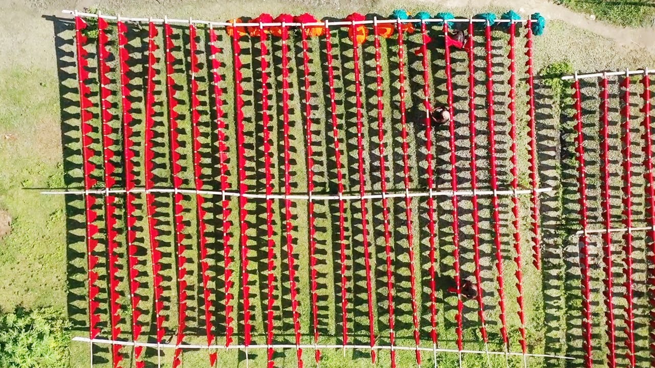 Drone Captures Colourful Threads Stretching Across Field - YouTube