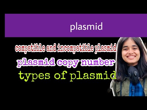plasmid | types of plasmid | conjugative plasmid | f factor plasmid ...