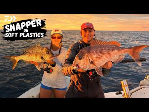 Chasing SNAPPER on Soft Plastics | Fishing NSW SOUTH COAST