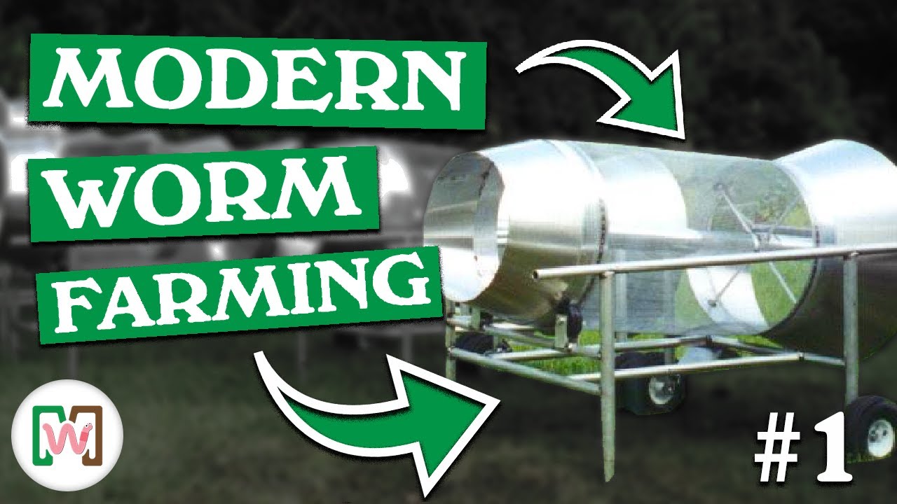 Commercial Worm Harvest Part 1 - YouTube