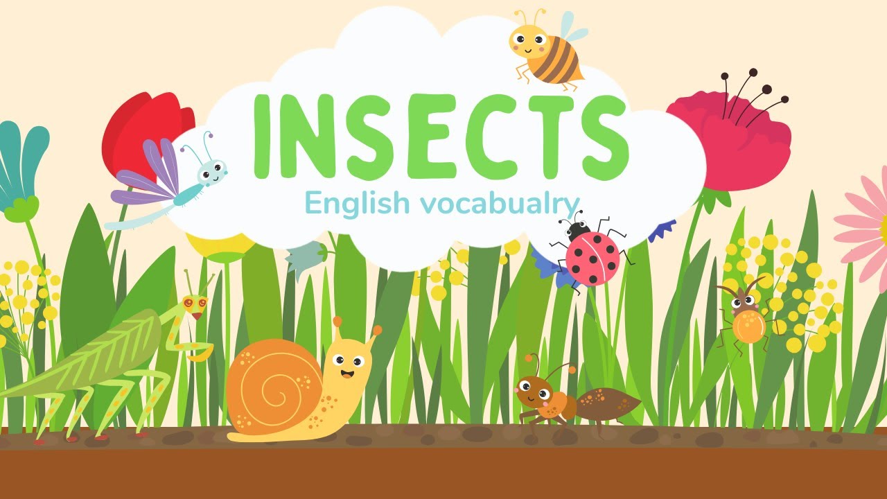 Insects/ bugs | KIDS English ESL Vocabulary - YouTube