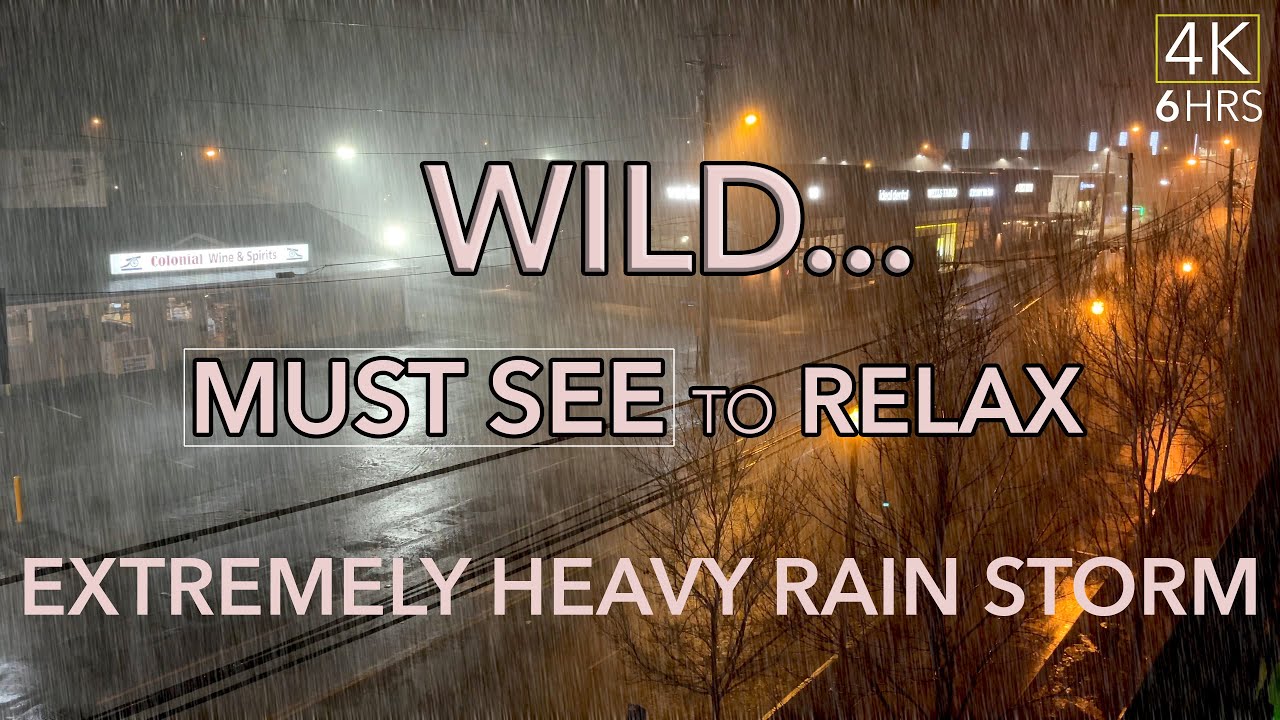 EXTREMELY HEAVY RAIN STORM Ambience (MUST SEE) WILD yet RELAXING RAIN ...