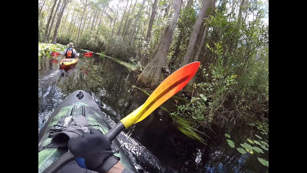 Okefenokee Swamp 2019 08 23 12 YouTube okefenokee-swamp-2019-08-23-12-youtube