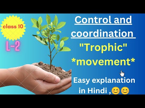 Trophic movements in plants|Control And Coordination|class 10|CBSE ...