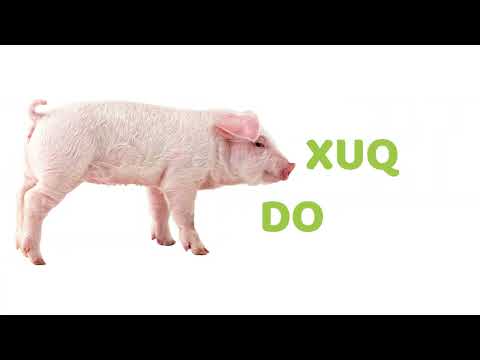 Talış dilində heyvan adları I  Названия животных на Tалышском языке