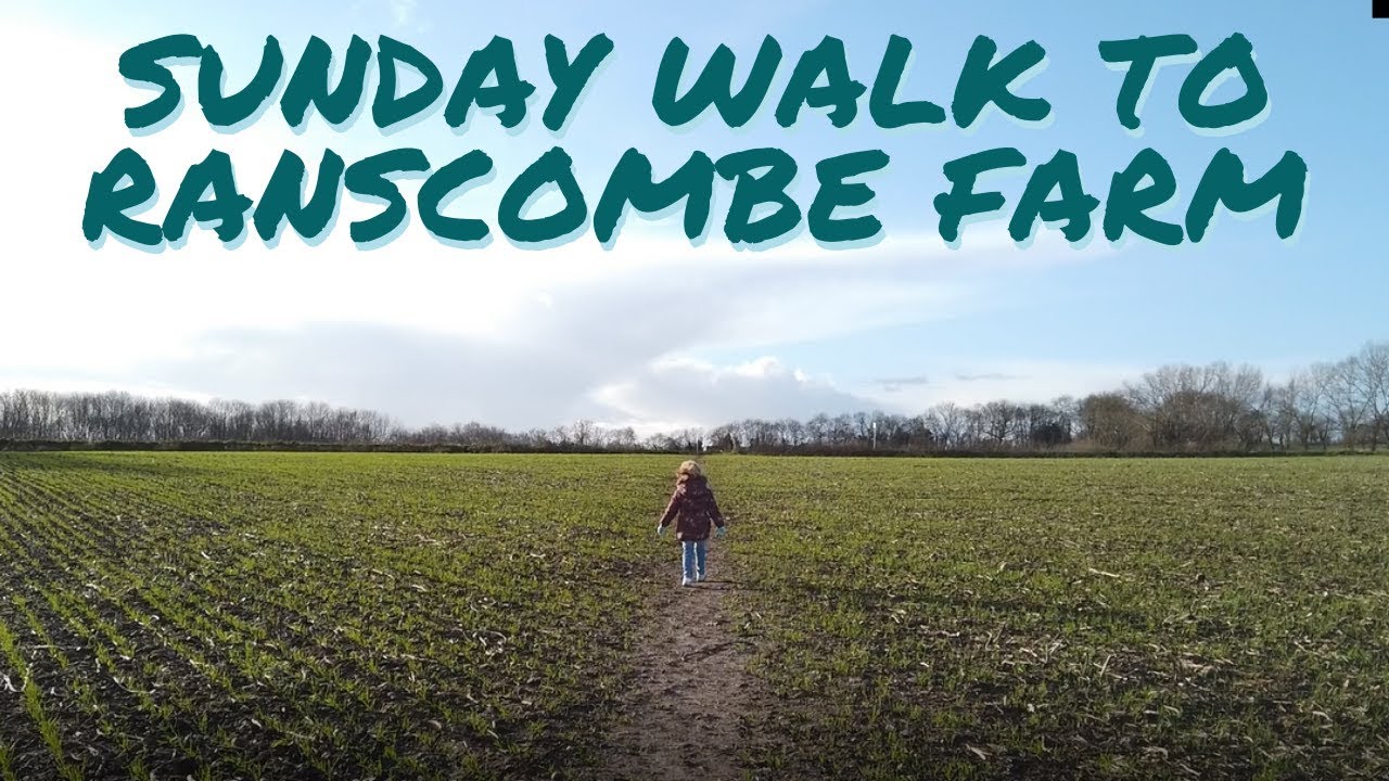 Sunday Walk Around A Muddy Ranscombe Farm! - YouTube