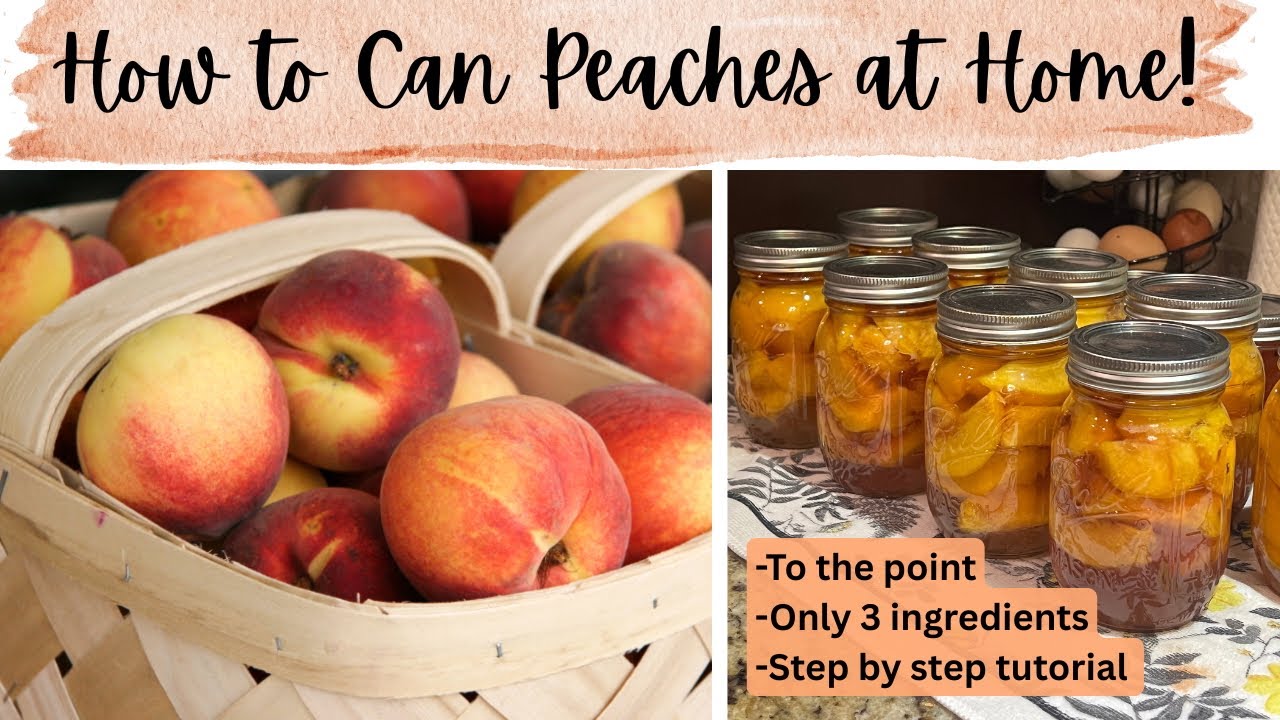 How to Can Fresh Peaches | ONLY 3 INGREDIENTS | Stepbystep tutorial ...
