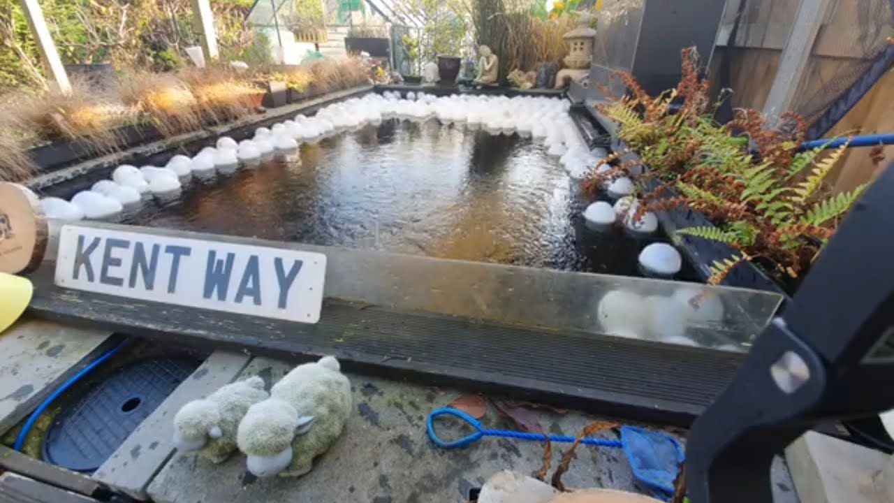 Foam/water clear?|Winter Pond Balls| Eazypod Clean - YouTube