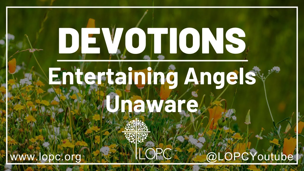 Entertaining Angels Unaware: Discovering God in Everyday Hospitality ...