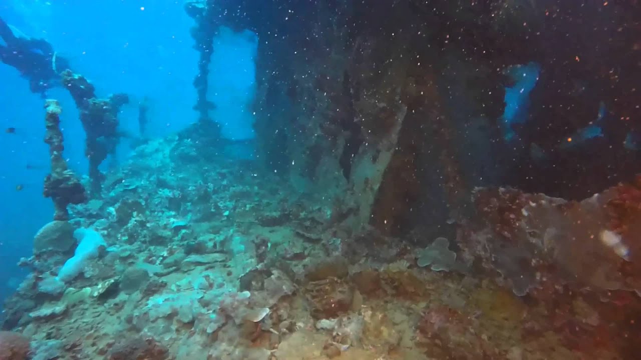 Palau Dive Day 2 IRO Wreck - YouTube